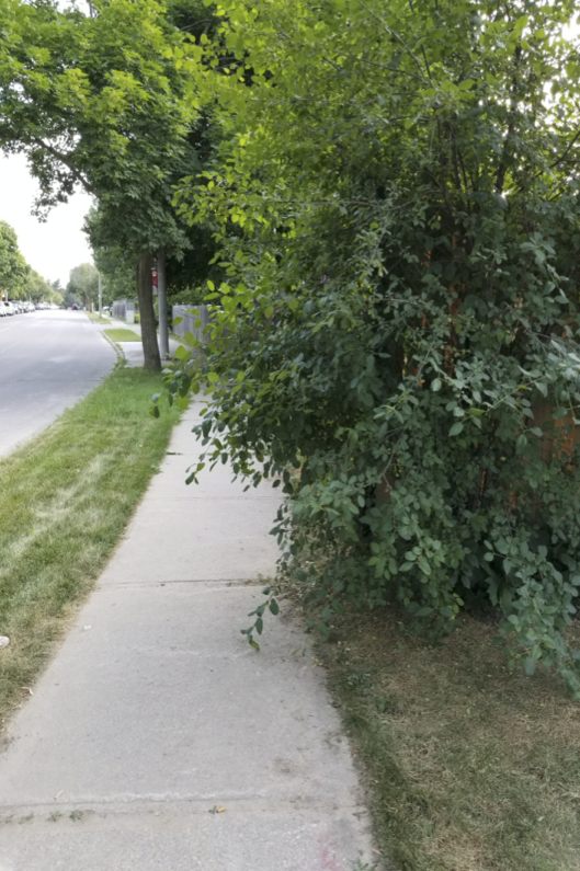 Using LiDAR to Map Sidewalk Encroachment