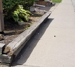 Using LiDAR to Map Sidewalk Encroachment